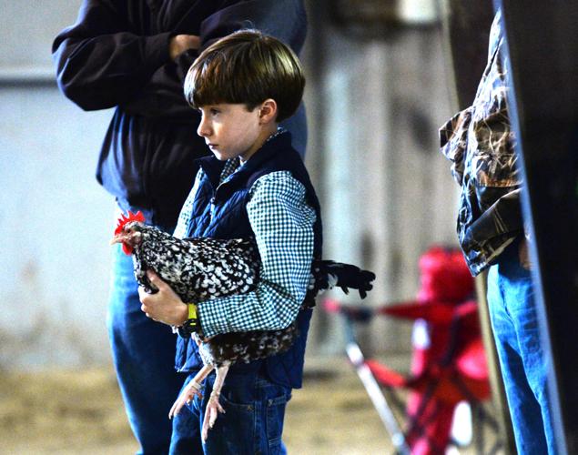 Photos: Lafayette Parish Livestock Show and Sale | Photos | theadvocate.com