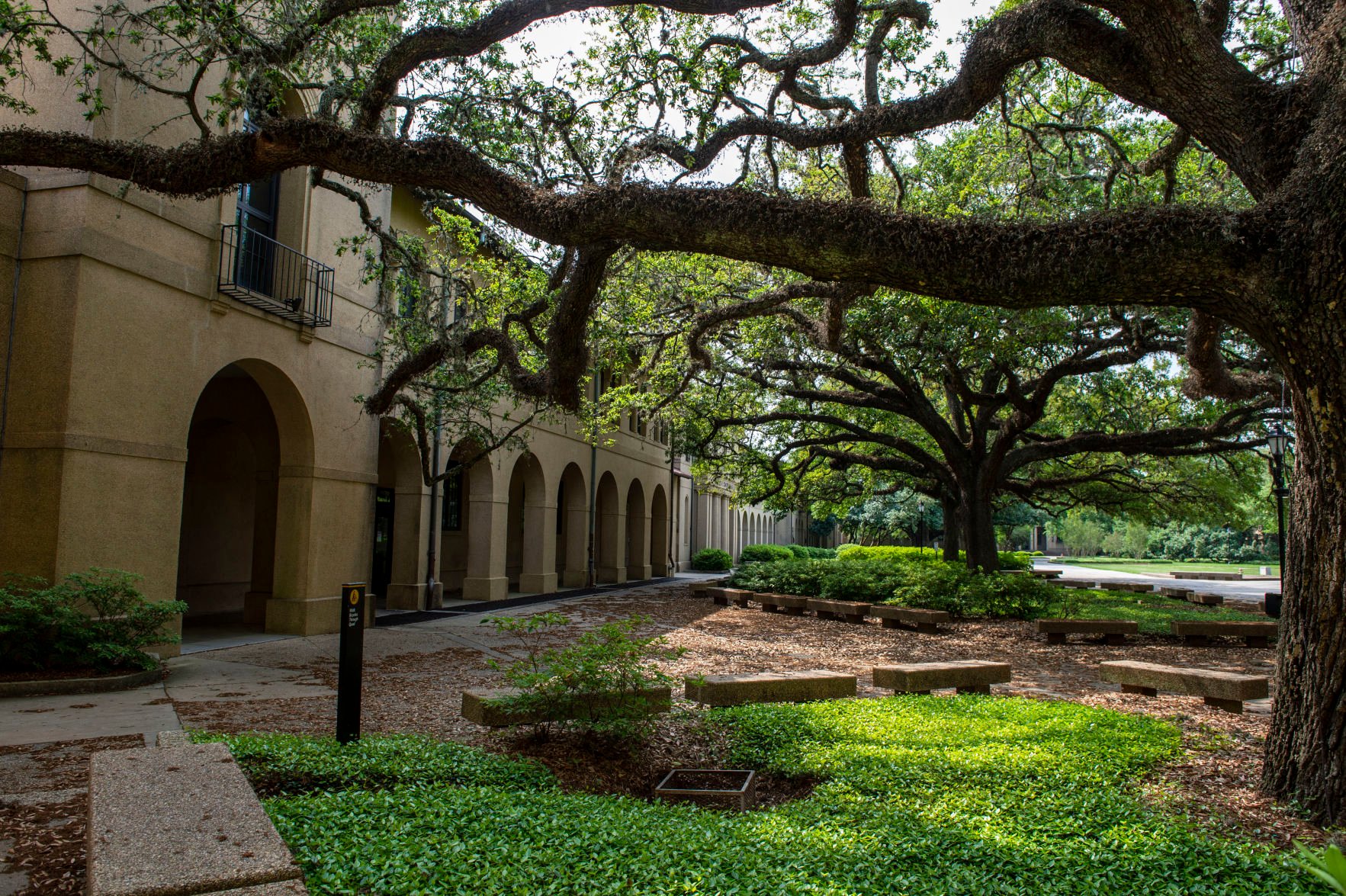 LSU postpones Phase 3 reopening of campus; officials hopeful to start ...
