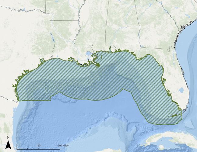 Gulf fish, sea turtle restoration work to get $210 million ...