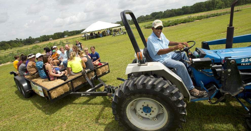 Photos: Garden Fest at Burden Center | News | theadvocate.com
