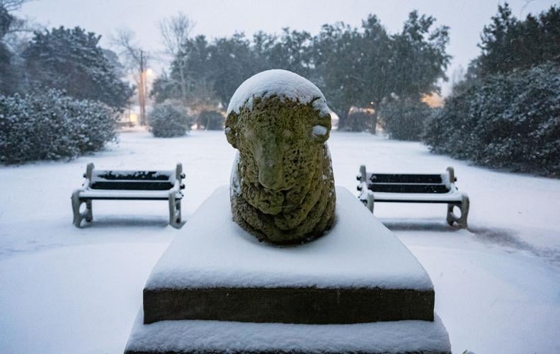 See photos of snow in parts of Acadiana, Lafayette, LA. | Weather ...