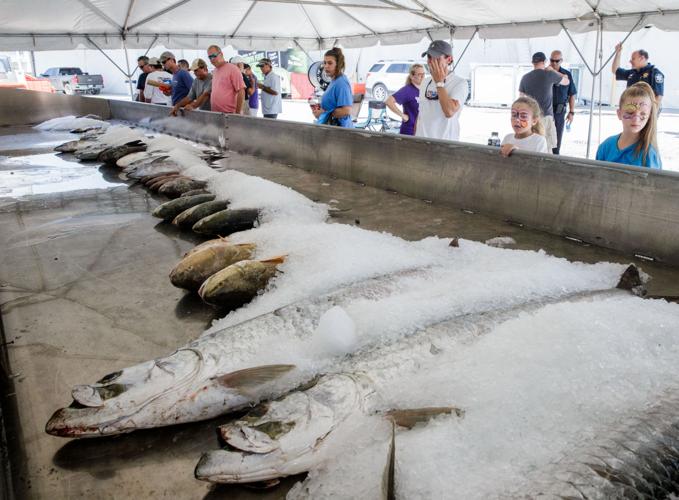 Photos: 2017 Grand Isle Tarpon Rodeo attracts big smiles and big fish ...