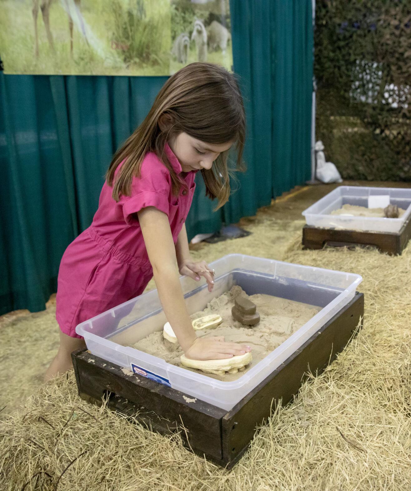 Photos: AgMagic takes over LSU's Parker Coliseum | Baton Rouge ...