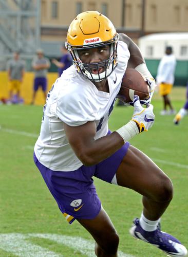 Former LSU football player Drake Davis accused of protective order ...