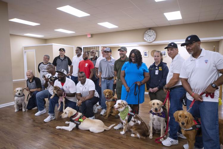 Trauma, PTSD survivor picks up emotional support service dog trained by ...