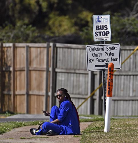 CATS bus stop upgrades on the way via a federal order | News ...