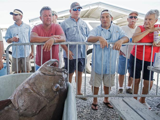 Photos: 2017 Grand Isle Tarpon Rodeo attracts big smiles and big fish ...
