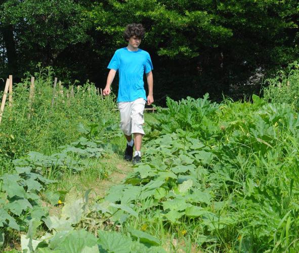 Students donate food harvested from garden | Zachary | theadvocate.com