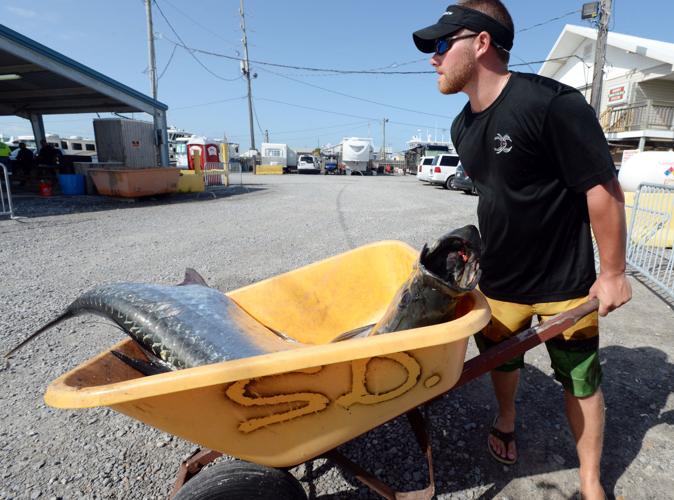 Houma man catches giant 167-pound tarpon in first hours of Grand Isle ...