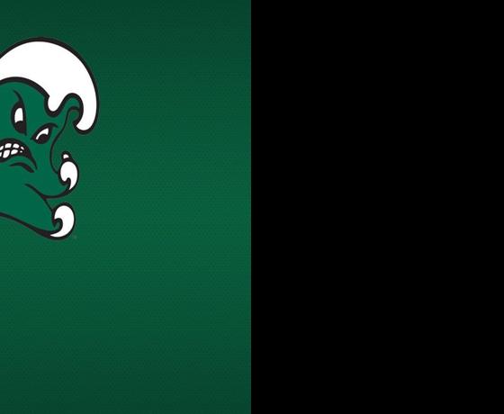 The sneer is back: Tulane turns to past for 'Angry Wave' logo | Tulane ...