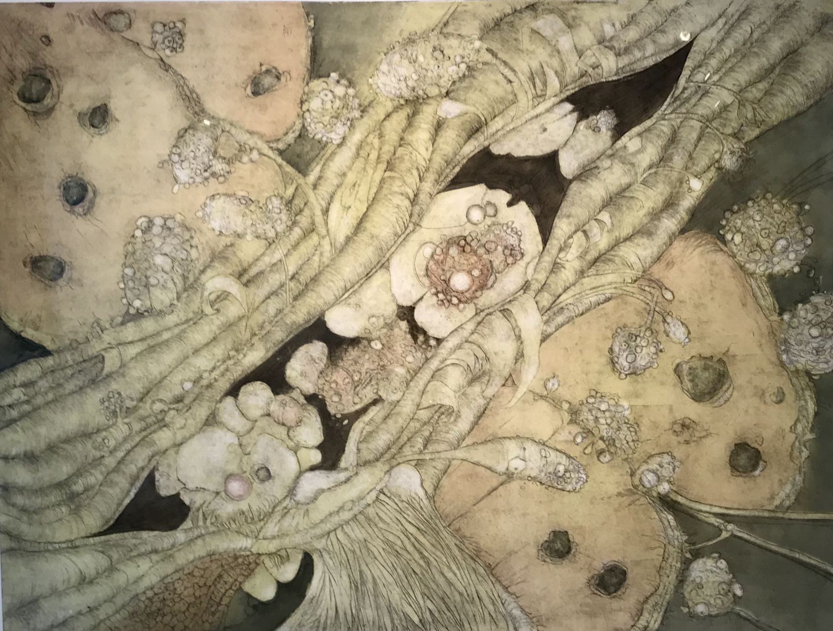 Leslie Koptcho creates nature-inspired prints and praises LSU's ...