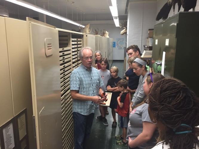 LSU Museum of Natural Science offers peek at behind-the-scenes research ...