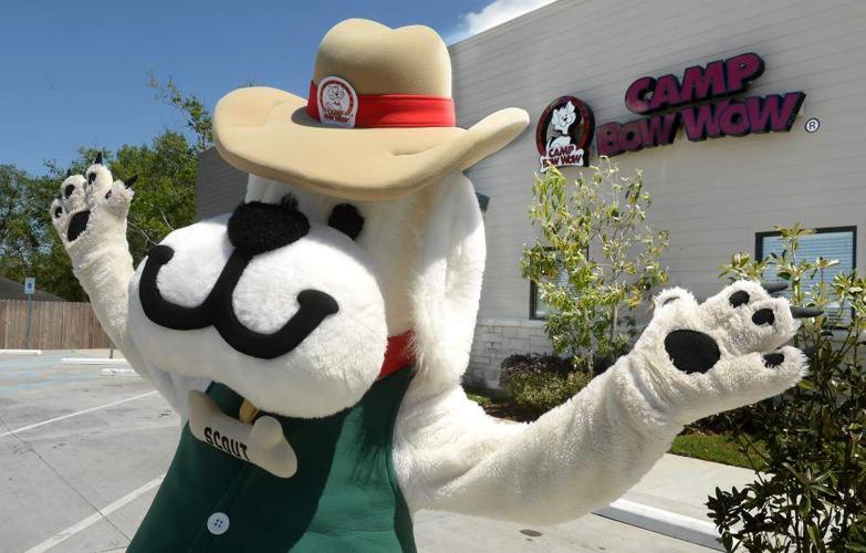 Socialization, stimulation key at Camp Bow Wow | News | theadvocate.com