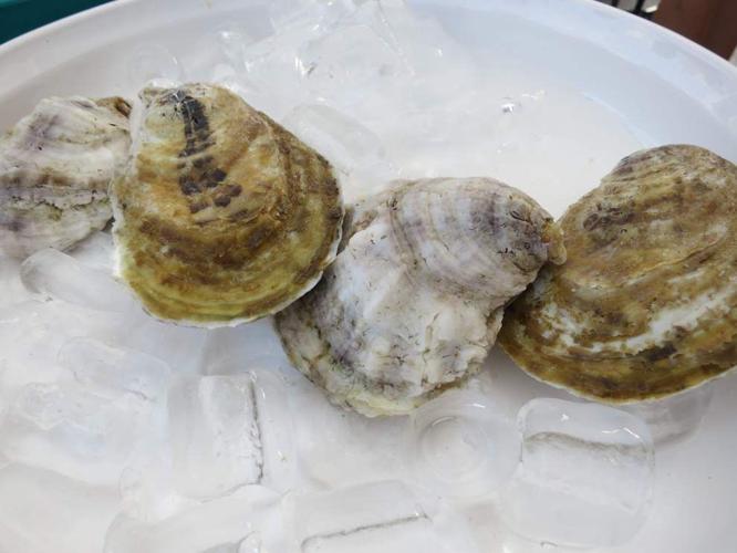 Something called 'off-bottom cultivation' might transform way you eat ...