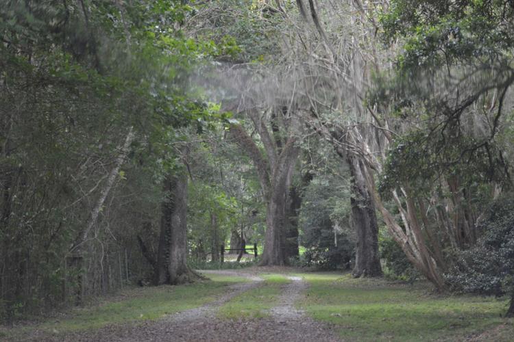'Dead of Locust Grove' shines light on forgotten history of region ...