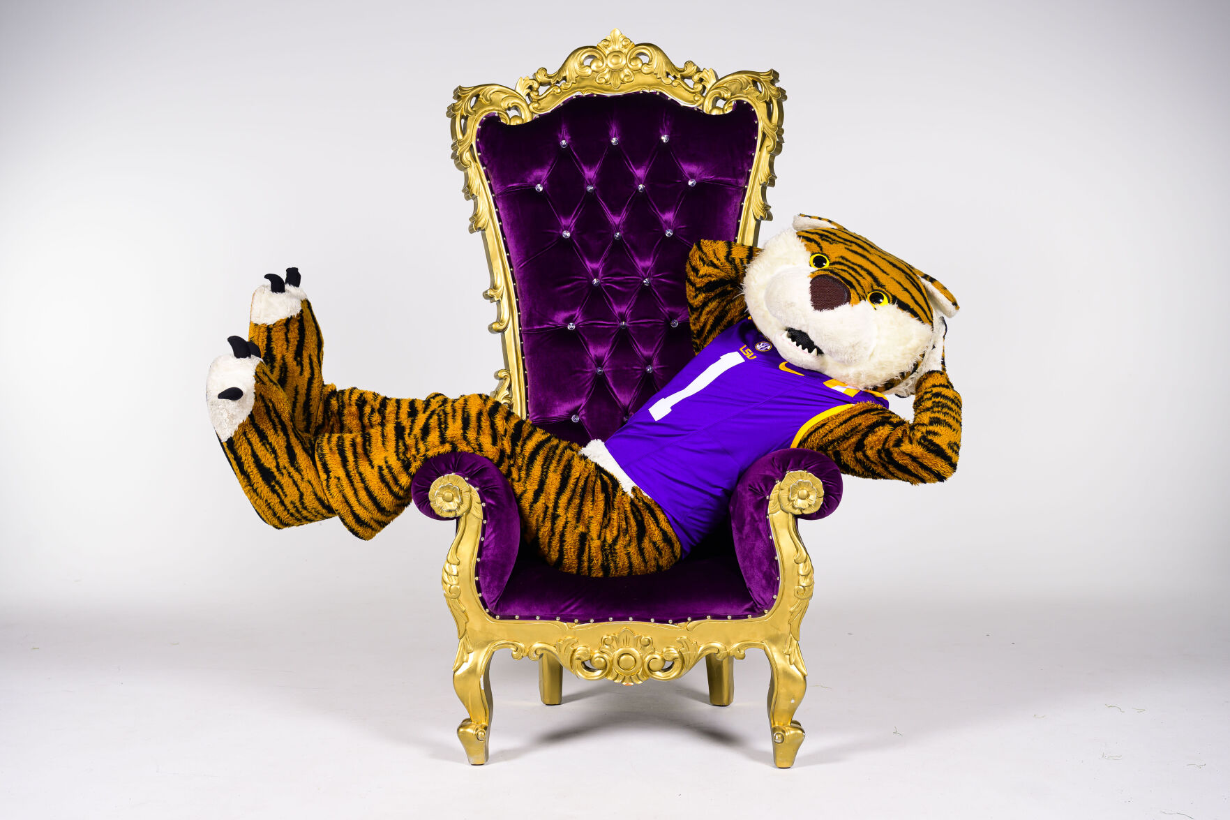 Team Mike shares the work involved in LSU's Mike the Tiger ...