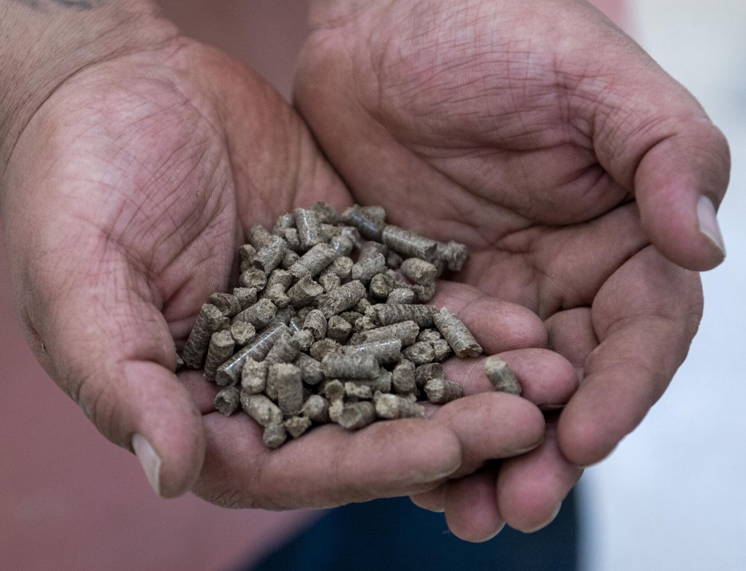 What is bagasse and how is it used? | Baton Rouge | theadvocate.com