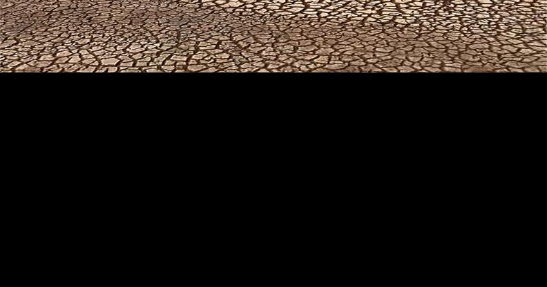 Heat, drought bode ill for hunters | Sports | theadvocate.com