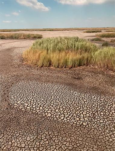 Heat, drought bode ill for hunters | Sports | theadvocate.com