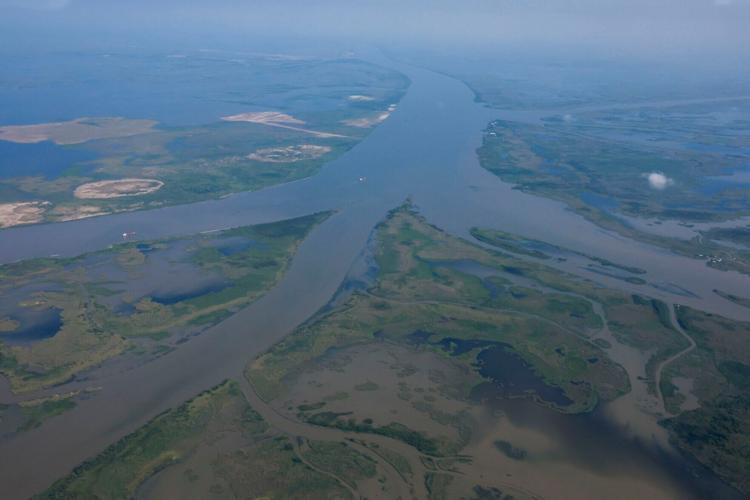 Major grant to plan future of Louisiana Bird's Foot Delta | Environment ...