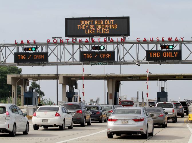 'Don't bug out' and 'Slow the flock down': These Causeway signs are ...