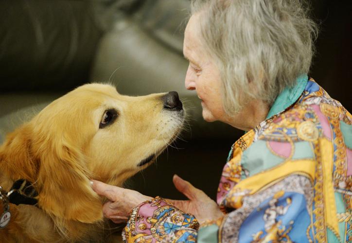A soldier's best friend: Pet Partners assists those who've served and ...
