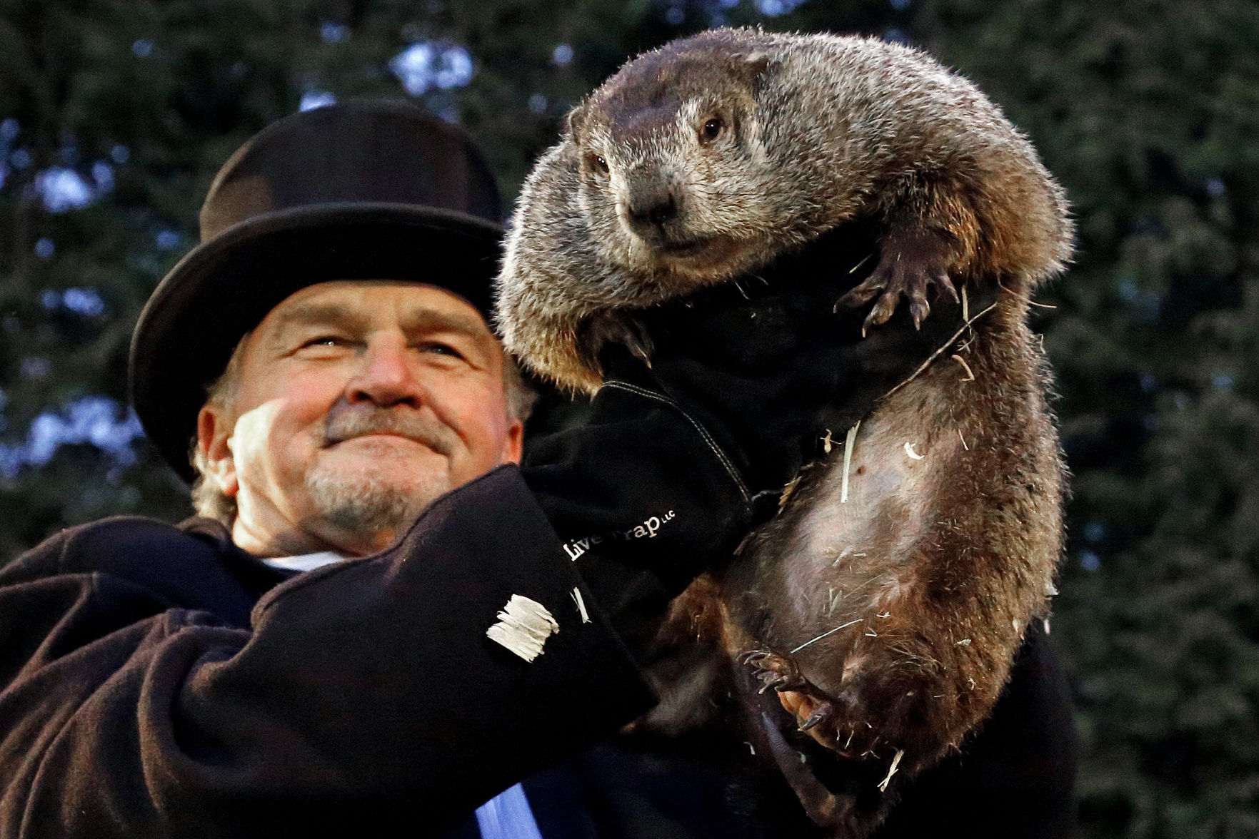 Punxsutawney Phil Louisiana s Pierre C Shadeaux Have Some Punxsutawney Phil Louisiana s Pierre C Shadeaux Have Some