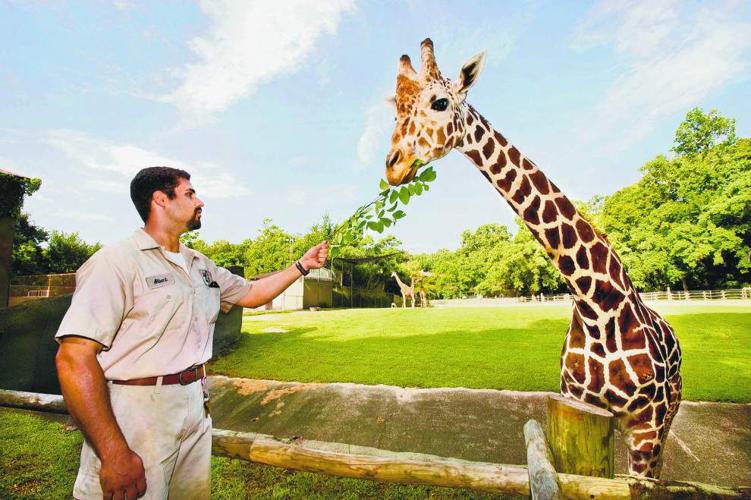 Changes anticipated for Baton Rouge Zoo, even if officials don’t try to ...