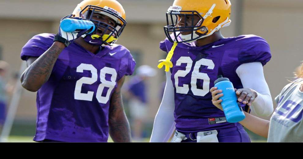LSU’s Ronald Martin looking to put last season behind him | LSU ...