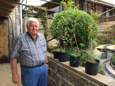Louisiana Bonsai Society donates trees to outdoor garden railroad in ...