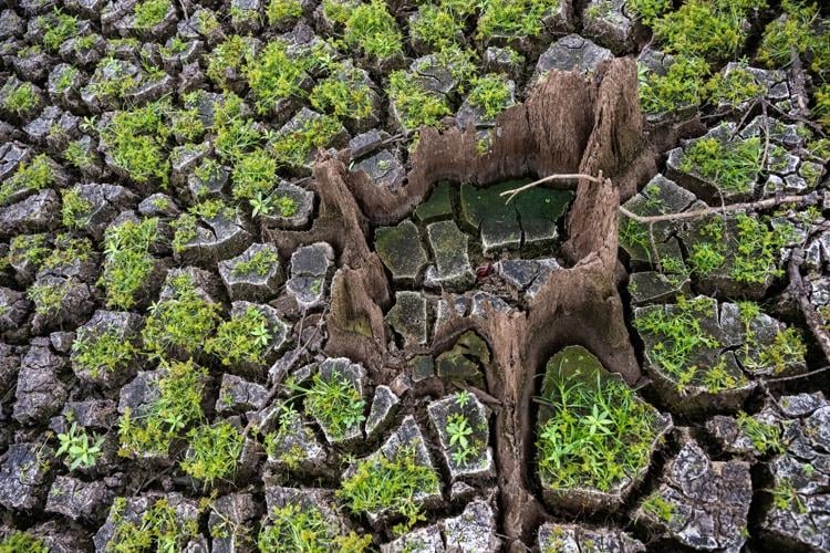 Atchafalaya Basin water level hit historic lows last month | Business ...