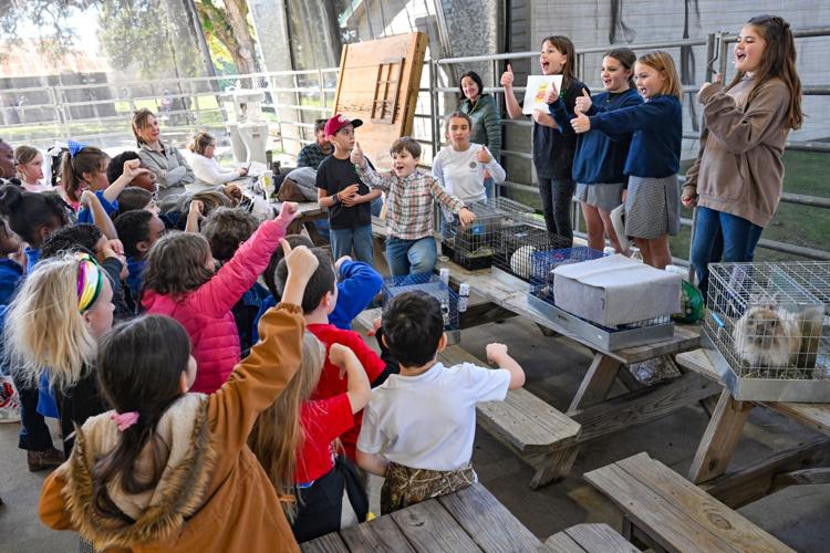 Meet and greet at the West Feliciana Mini Farm | St. Francisville ...