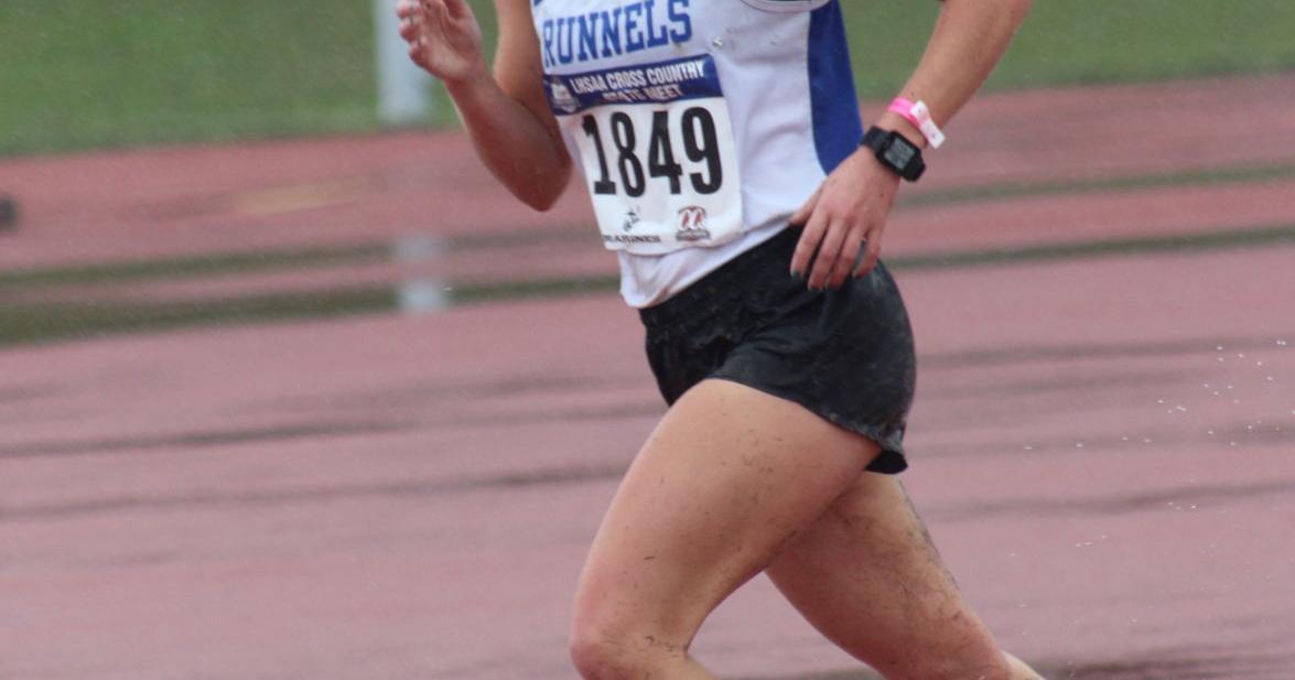 St. Michael girls win team title, Runnels' Annie Fink claims individual ...