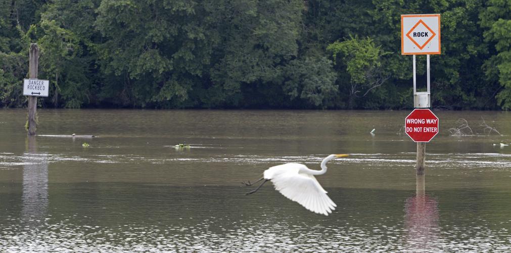 Work moves forward on projects to revitalize lower Amite River and ...