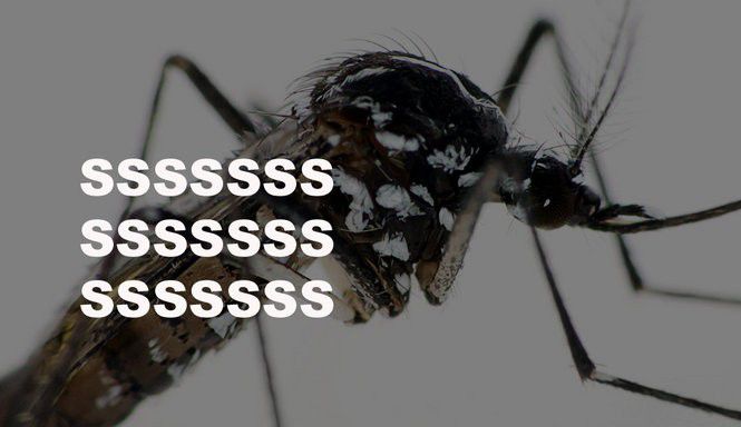 Newcomers' guide to the 5 New Orleans bugs that bug us most | Louisiana ...