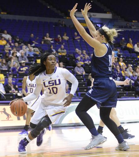 Lady Tigers to host Rice looking to go 3-0 | LSU | theadvocate.com
