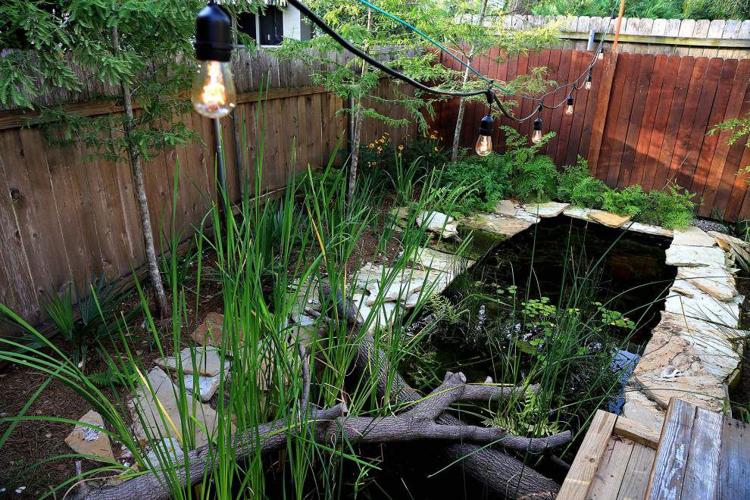 Form plus function add up to a colorful mini-wetland | Home Garden ...