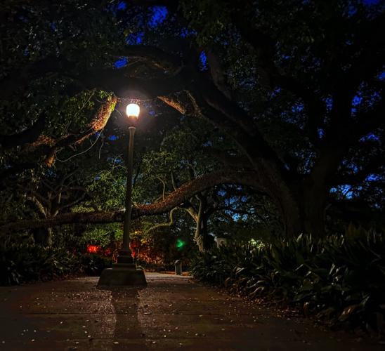 Baton Rouge Gallery's First Wednesdays showcases local art ...