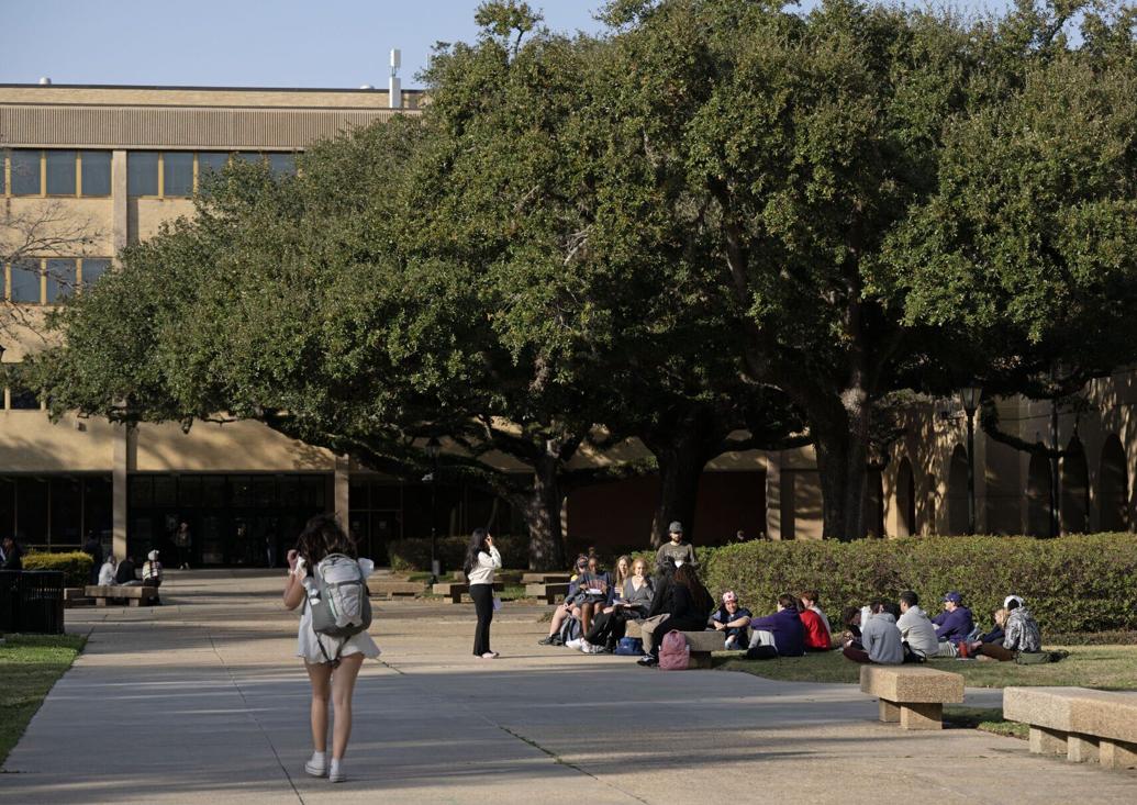 Editorial: Don't forget what awaits new LSU president | Our Views ...