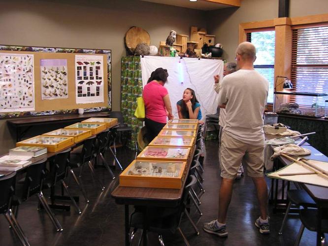 Annual Insect Day returns to State Arboretum | Entertainment/Life ...