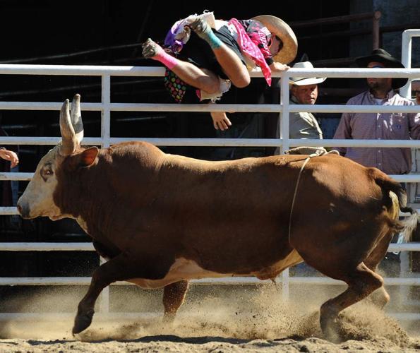 Angola Prison Rodeo lives up to its name: ‘Wildest Show in the South ...