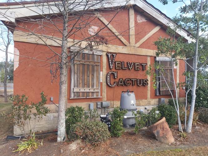 COVID, new restaurants led to Velvet Cactus closing | Business ...