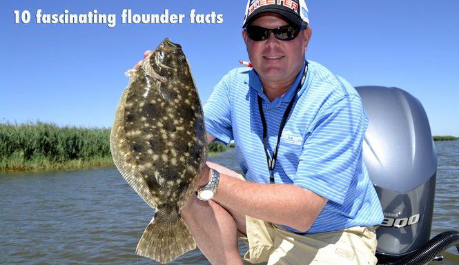 10 fascinating flounder facts | Louisiana Outdoors | theadvocate.com