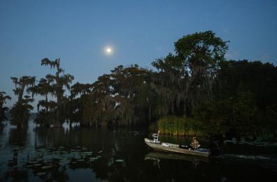 PHOTOS: The quiet arrival of a Louisiana fall | Entertainment/Life ...