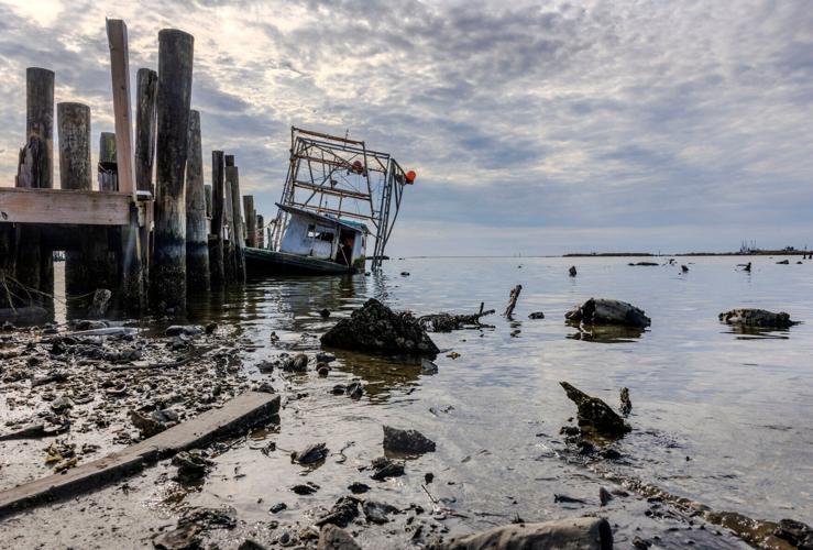 New Louisiana seafood laws target foreign imports | Environment ...