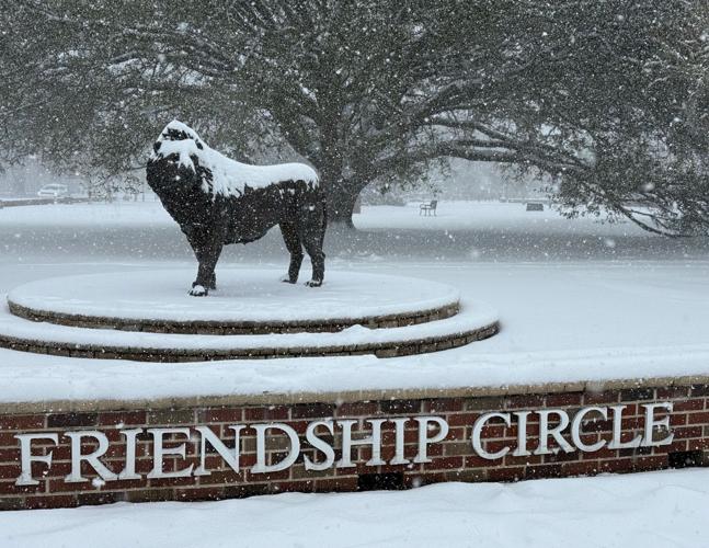 Hammond residents experience rare snow day | Livingston/Tangipahoa ...