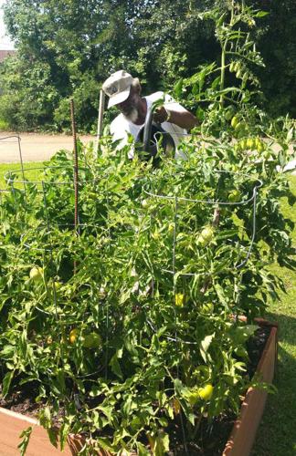 Outings, fun keep seniors active in Baker, Zachary | Zachary ...