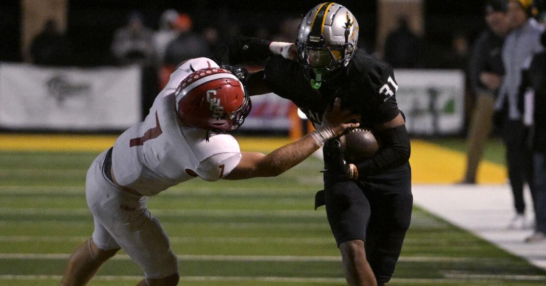 CHNI's senior linebacker has been key to Panthers' defense | High ...