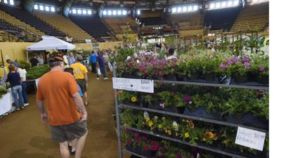 Spring Garden Show to get underway | Entertainment/Life | theadvocate.com