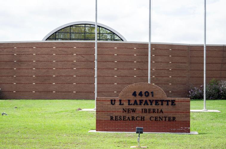 PETA calls on USDA to probe UL's monkey research lab | News ...